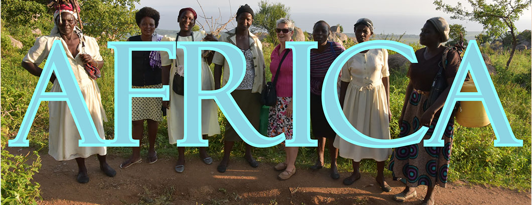 What does SRM do in Africa?